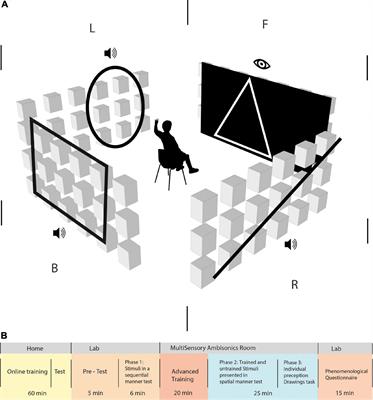 Frontiers | Shape detection beyond the visual field using a visual-to-auditory sensory ...